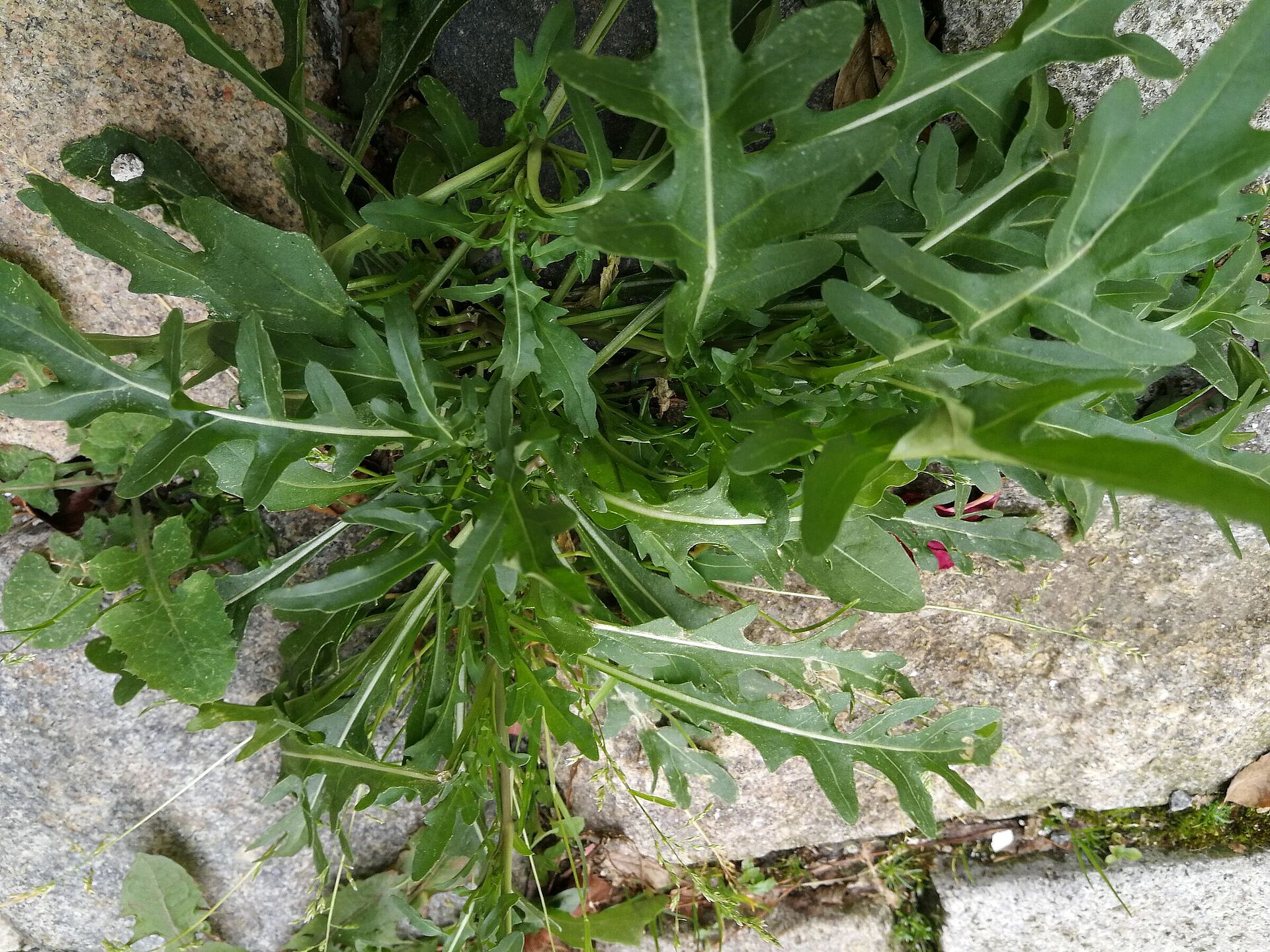 Home - BUND Naturschutz in Bayern e.V.